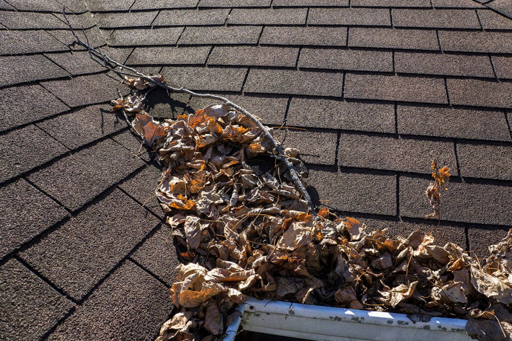 Fall Gutter Maintenance - Gutt-R-Done Gutters